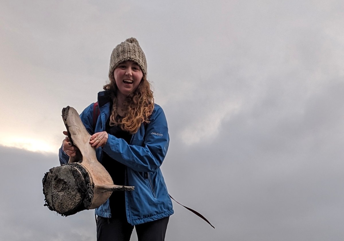 Finished Page: Termination Point – My Kodiak Adventures